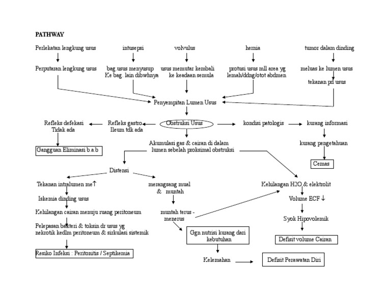 PATHWAY Ileus Obstruktif