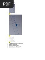 5 4 3 2 1 Grounding Technique Poster | PDF