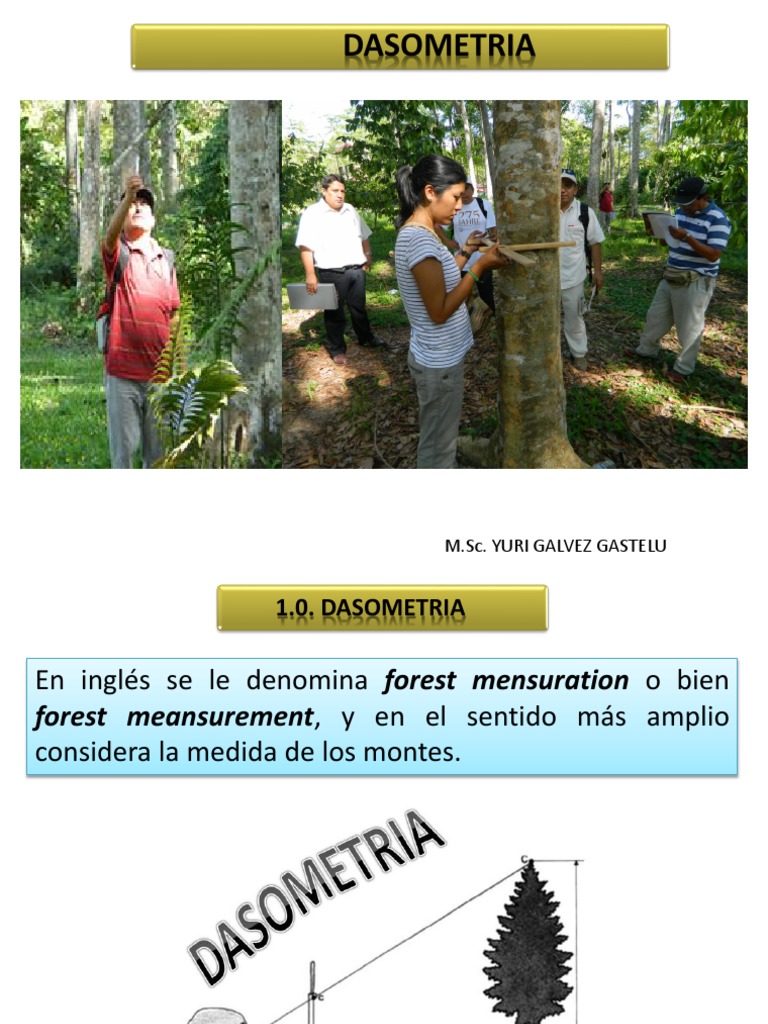 DASOMETRIA | PDF | Enseñanza de matemática | Naturaleza