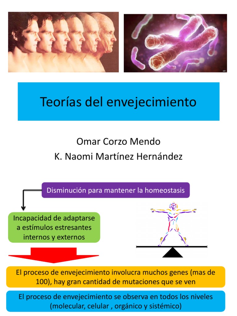 Teorías Del Envejecimiento | PDF | Senectud | Telómero