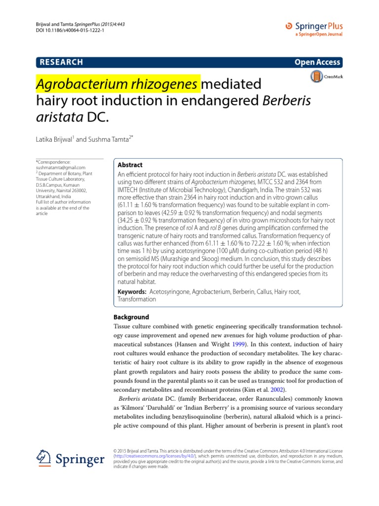 Agrobacteriumrhizogeneson Acetosyringone 2015 | PDF | Transformation ...
