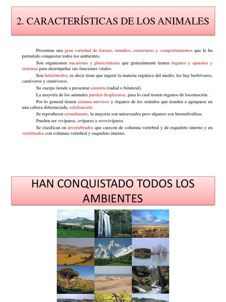 2-1 Características de Los Animales | PDF