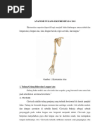Tabel Ringkasan Origo, Insersio, Inervasi Dan Aksi Otot Manusia - Dr. S ...