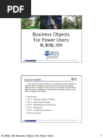 BOXI User Guide for Business Users | PDF