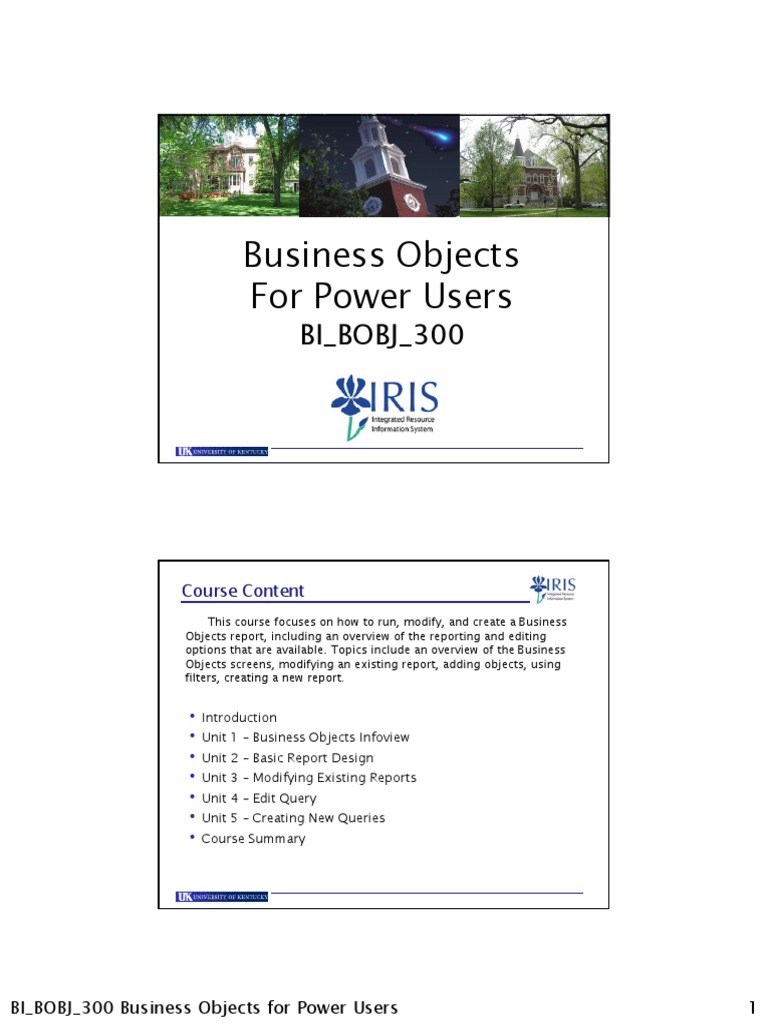 Business Objects | PDF | Information Retrieval | Databases