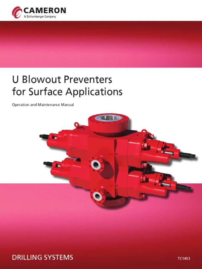 Cameron Type U 2016 | PDF | Mechanical Engineering | Nature