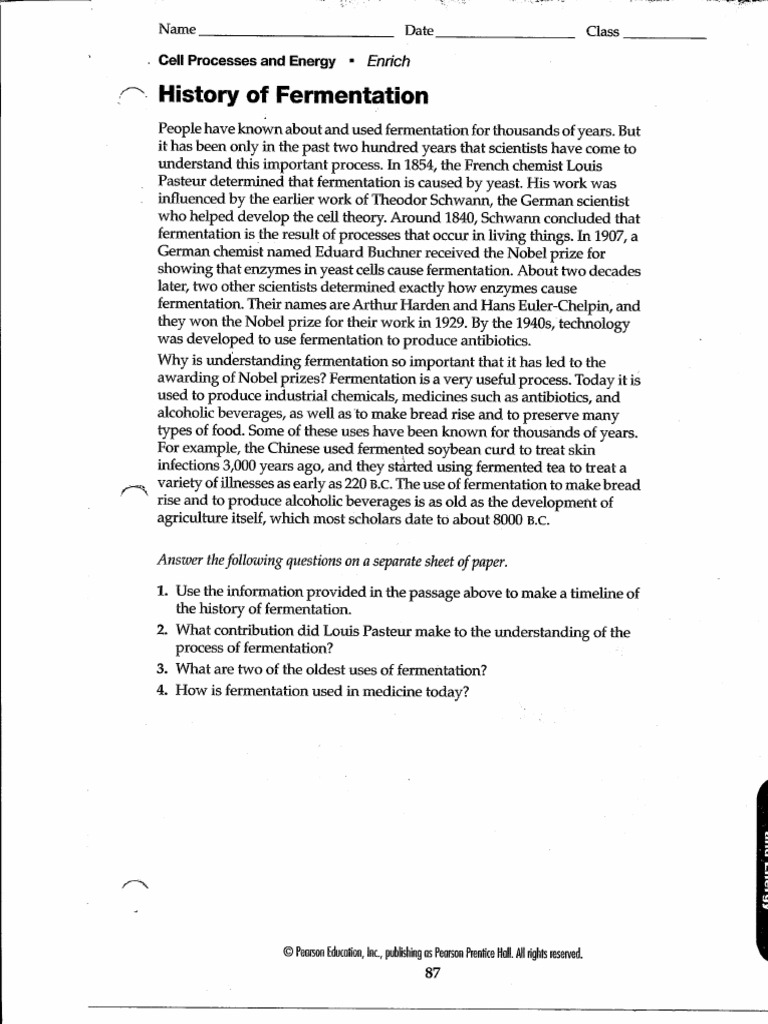 P. 87 History of Fermentation | PDF | Fermentation | Yeast