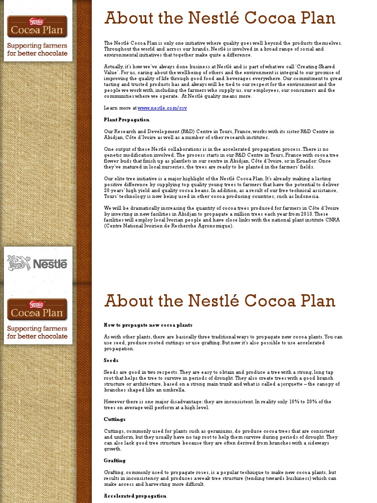 Nestle Cocoa Plan | PDF | Cocoa Bean | Child Labour