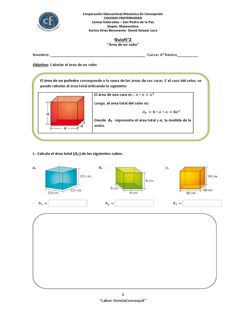 Guía N°2 Área de Un Cubo | PDF | Enseñanza de matemática | Science