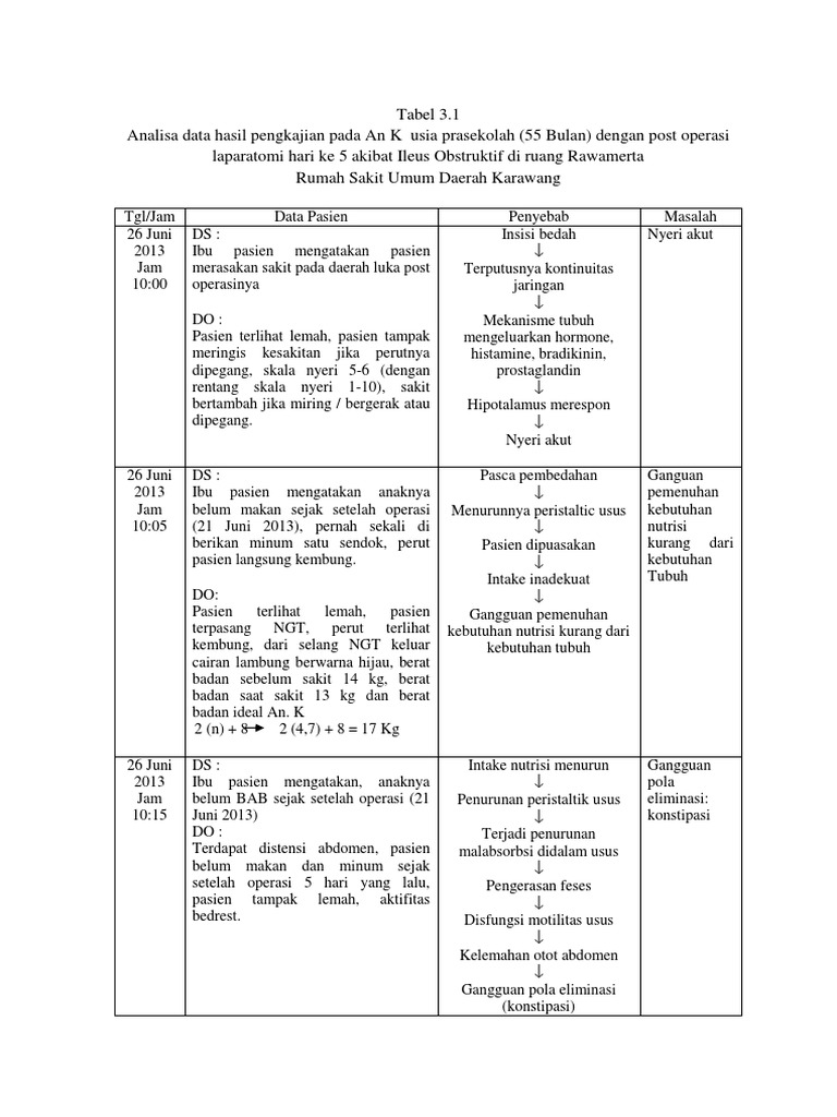 Tabel 3 Analisa Data Pasien An K Pdf