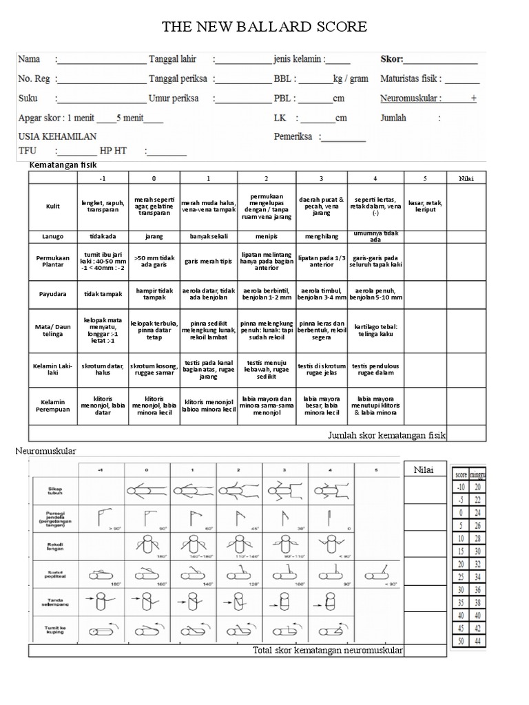 The New Ballard Score Bahasa Indonesia | PDF