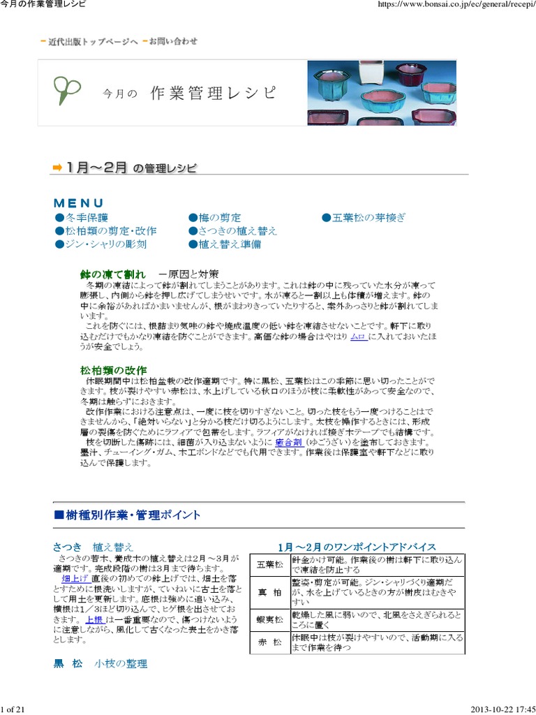 Kinbon Tutorial | PDF