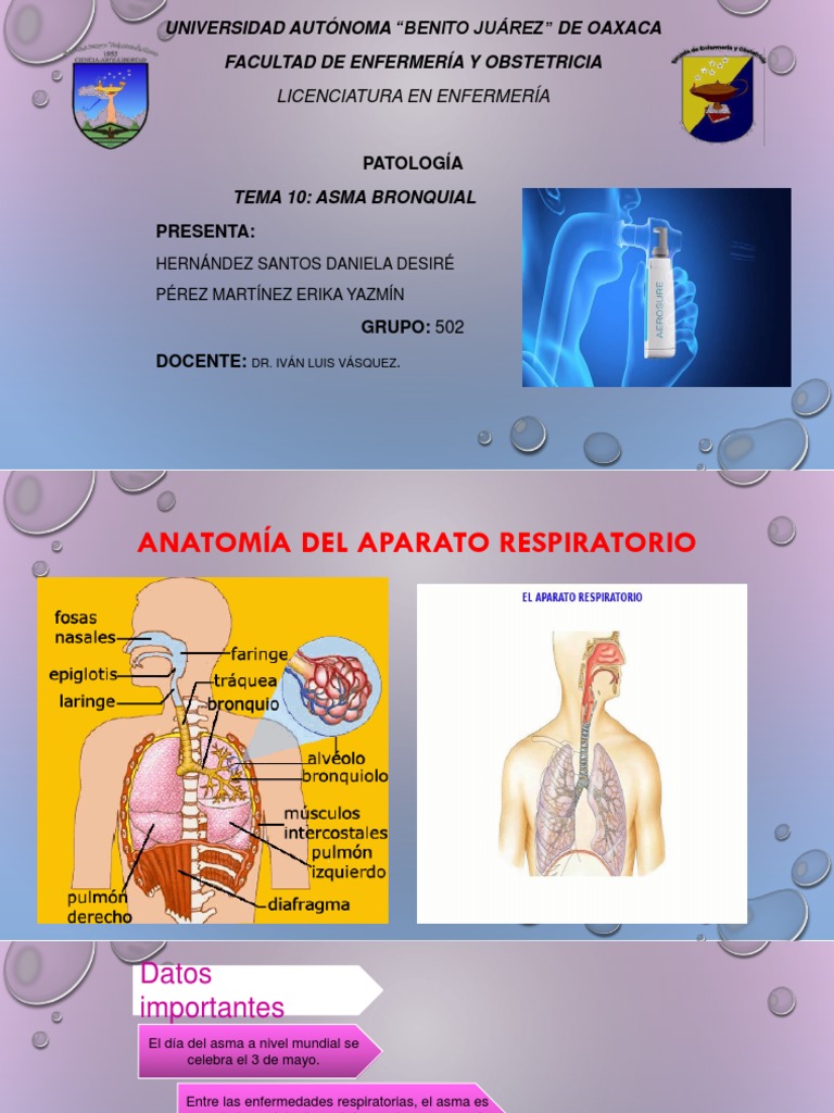 Asma bronquial: anatomía, clasificación, signos y síntomas, diagnóstico ...