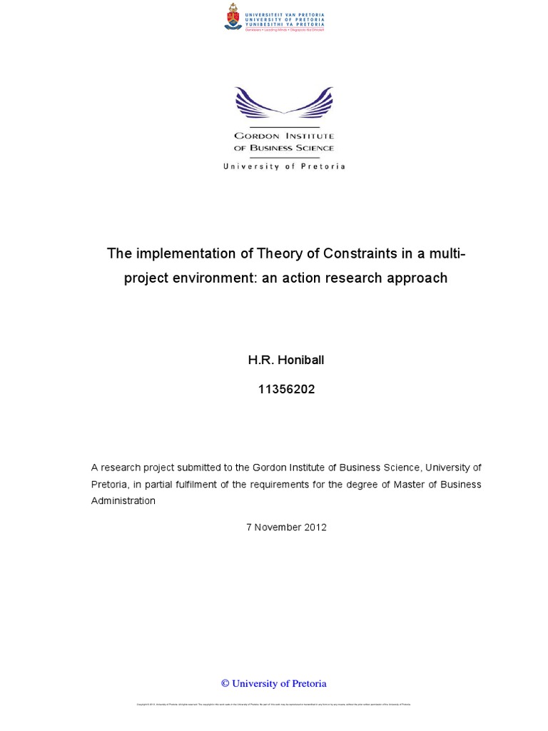 TOC Project | PDF | Inventory | Project Management