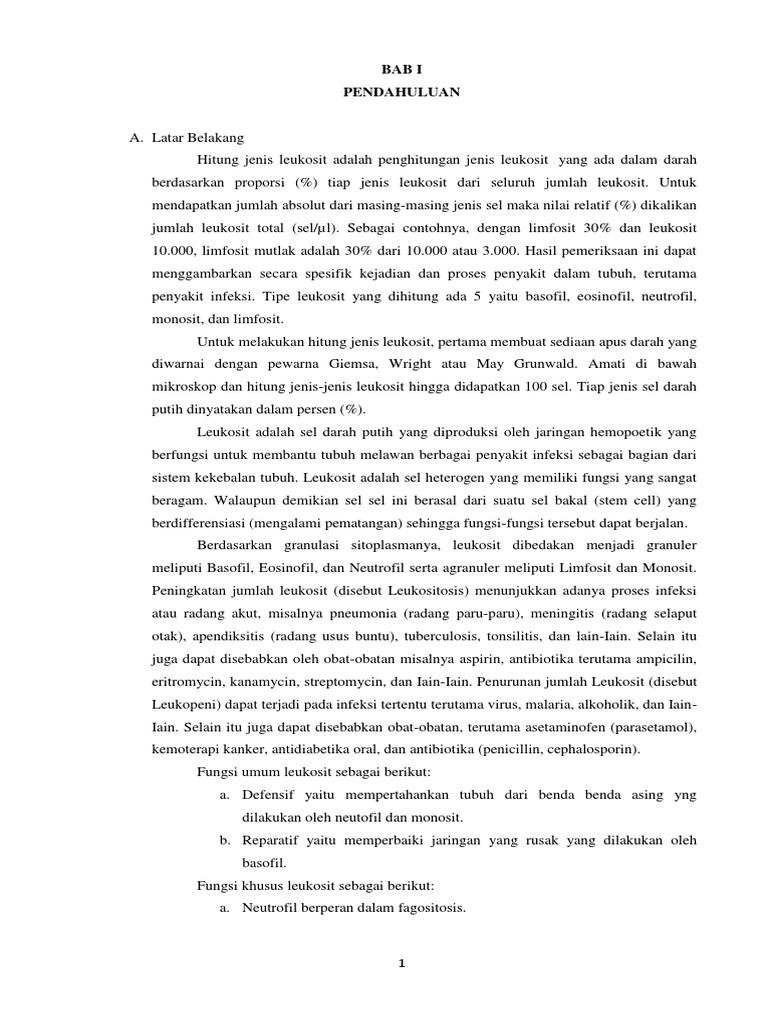 Laporan Resmi Diffcount | PDF