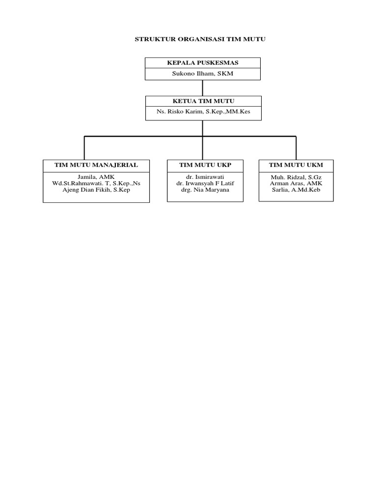 Struktur Organisasi Tim Mutu Dan Tim Audit | PDF