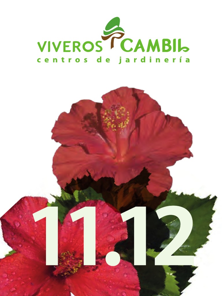 Catalogo Viveroscambil | PDF | Etnobotánica | Forma de vida vegetal