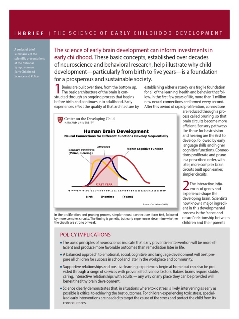 The Science of Early Brain Development Can Inform Investments in Early ...