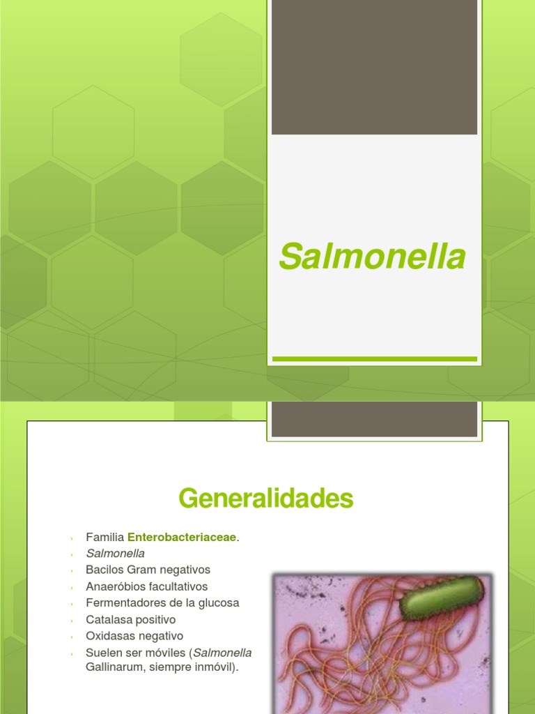 Salmonella | PDF | Salmonela | Medicina CLINICA