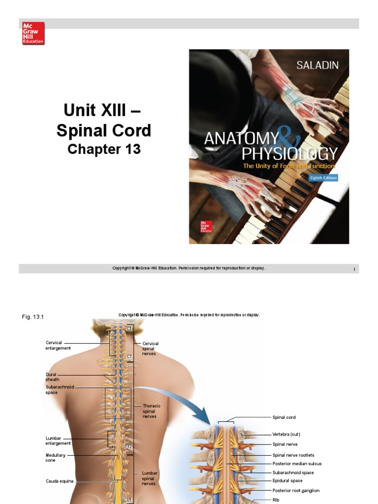 Unit XIII Power Point Slides | PDF