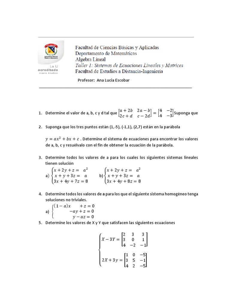 Anexo Pautas para Elaborar El Foto-Relato | PDF | Sistema de ecuaciones lineales | Ecuaciones