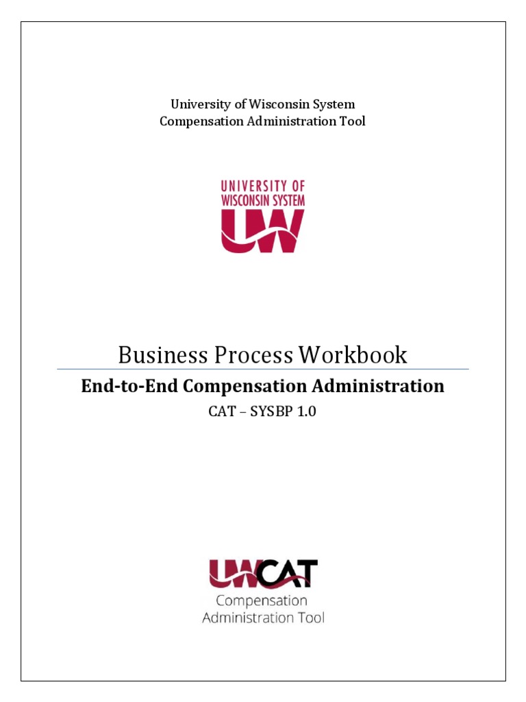 CAT System 1.0 End To End Business Process Workbook System v10 1 | PDF ...