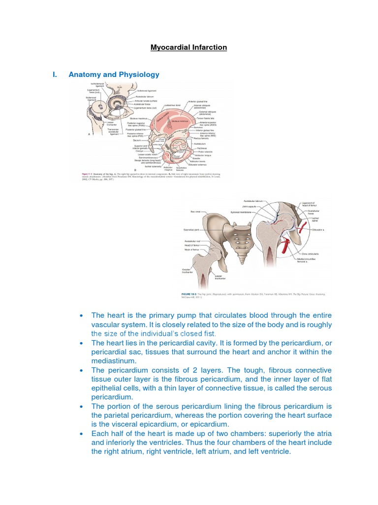 Myocardial Infarction MedBack Revised | PDF | Coronary Circulation | Heart