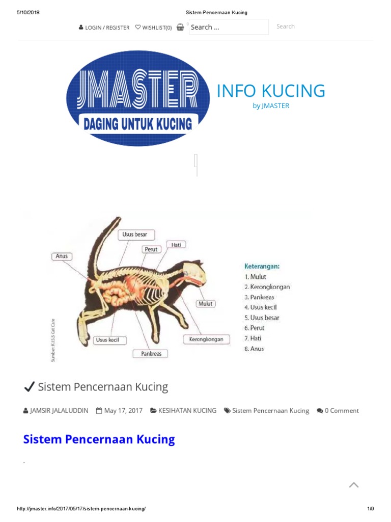 Sistem Pencernaan Kucing PDF | PDF | Kesehatan Holistik | Sains ...