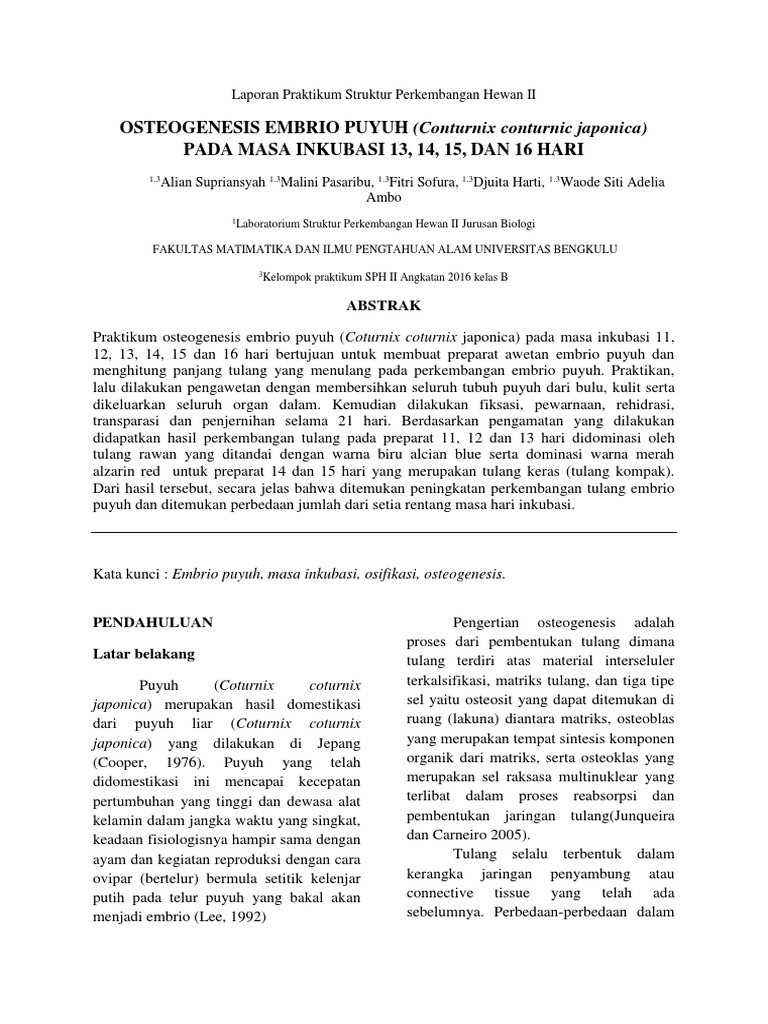 Perkembangan Tulang Embrio Puyuh Selama Masa Inkubasi | PDF