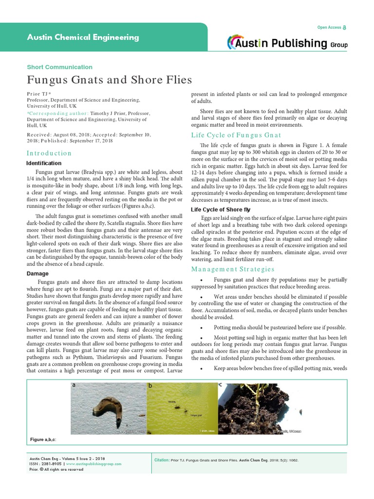 Austin Chemical Engineering | PDF | Fly | Pest Control