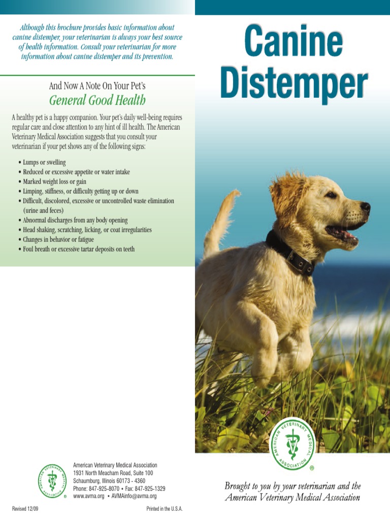 Distemper Brochure | PDF | Dogs | Immunology