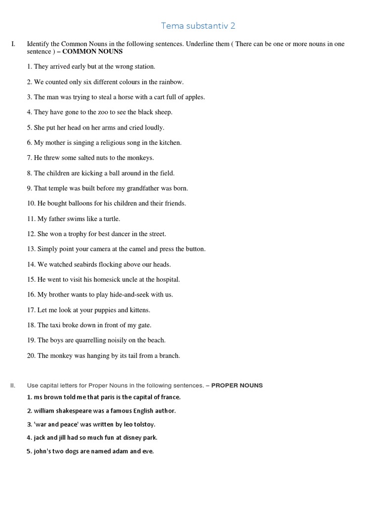 Tema Substantiv 2 | PDF | Grammatical Gender