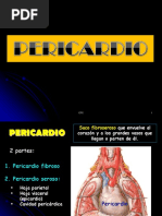 (Anatomía) Triángulos de Pirogoff y Béclard | PDF | Medicina CLINICA ...