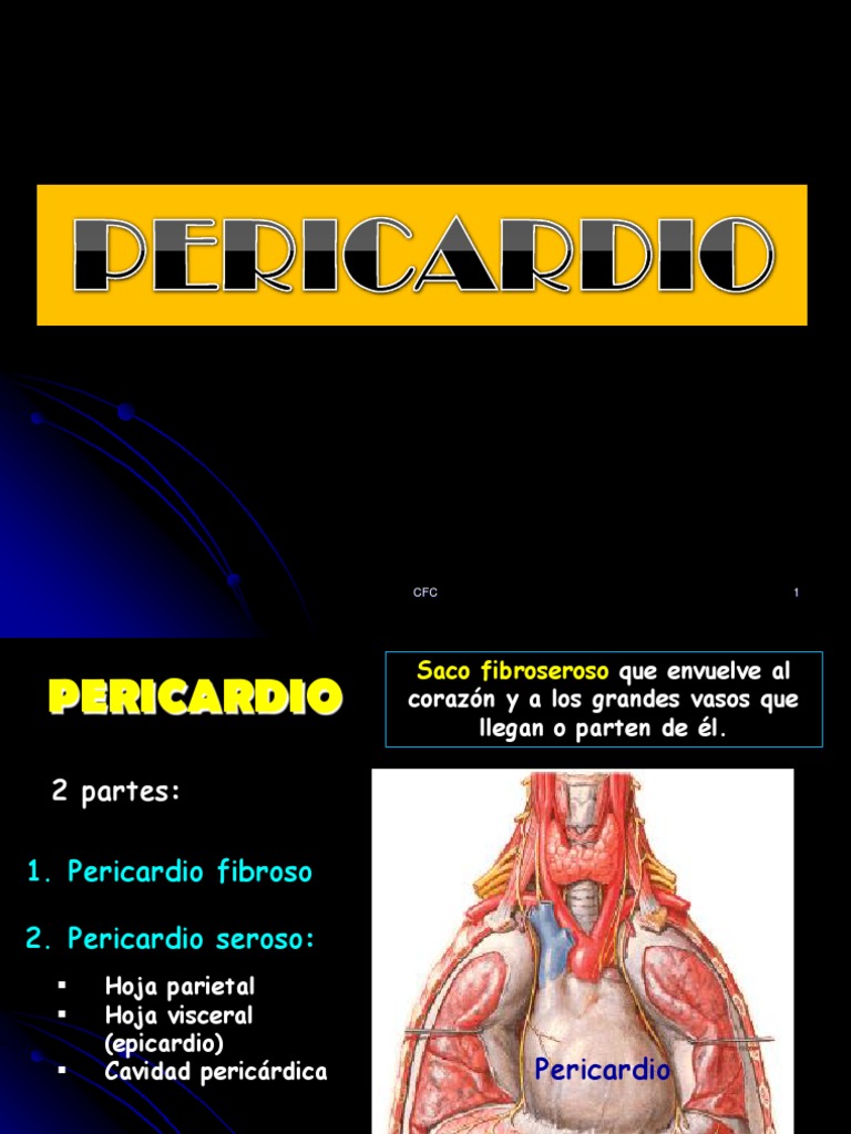 Anatomía del Pericardio y sus Estructuras | PDF | Angiología | Tórax ...