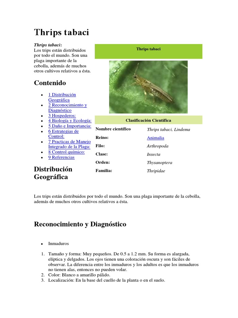 Thrips Tabaci | Descargar gratis PDF | Riego | Hoja