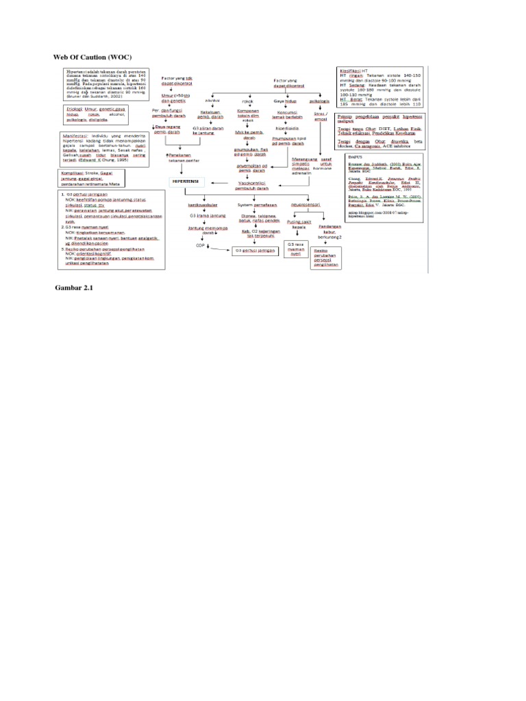 Web Of Caution Overview | PDF