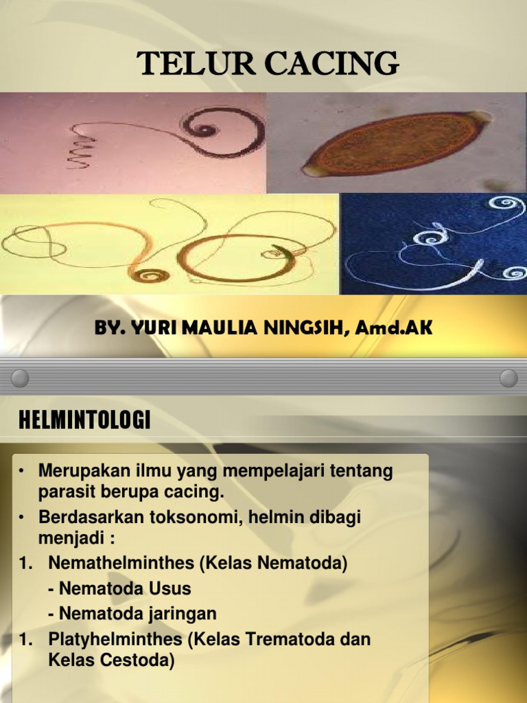 TELUR CACING Revisi | PDF