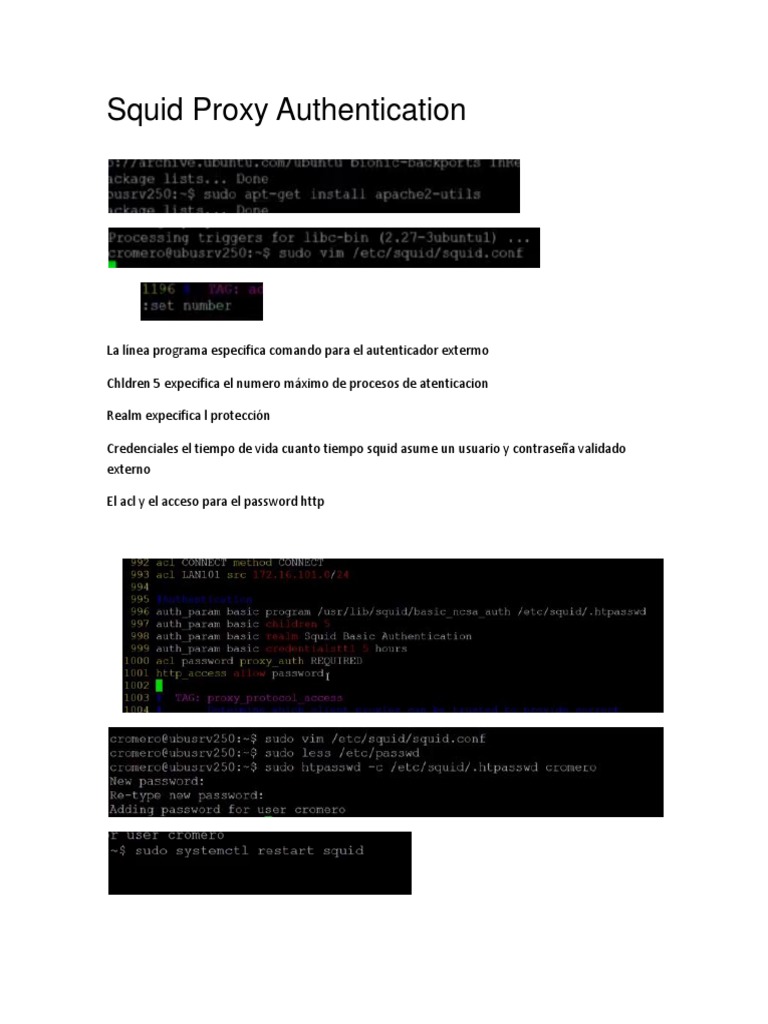 Autenticacion en Proxy Squid y Bloqueo de Sitios Con Squid Guard | PDF