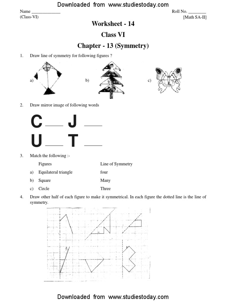 CBSE Class 6 Symmetry Worksheet | PDF