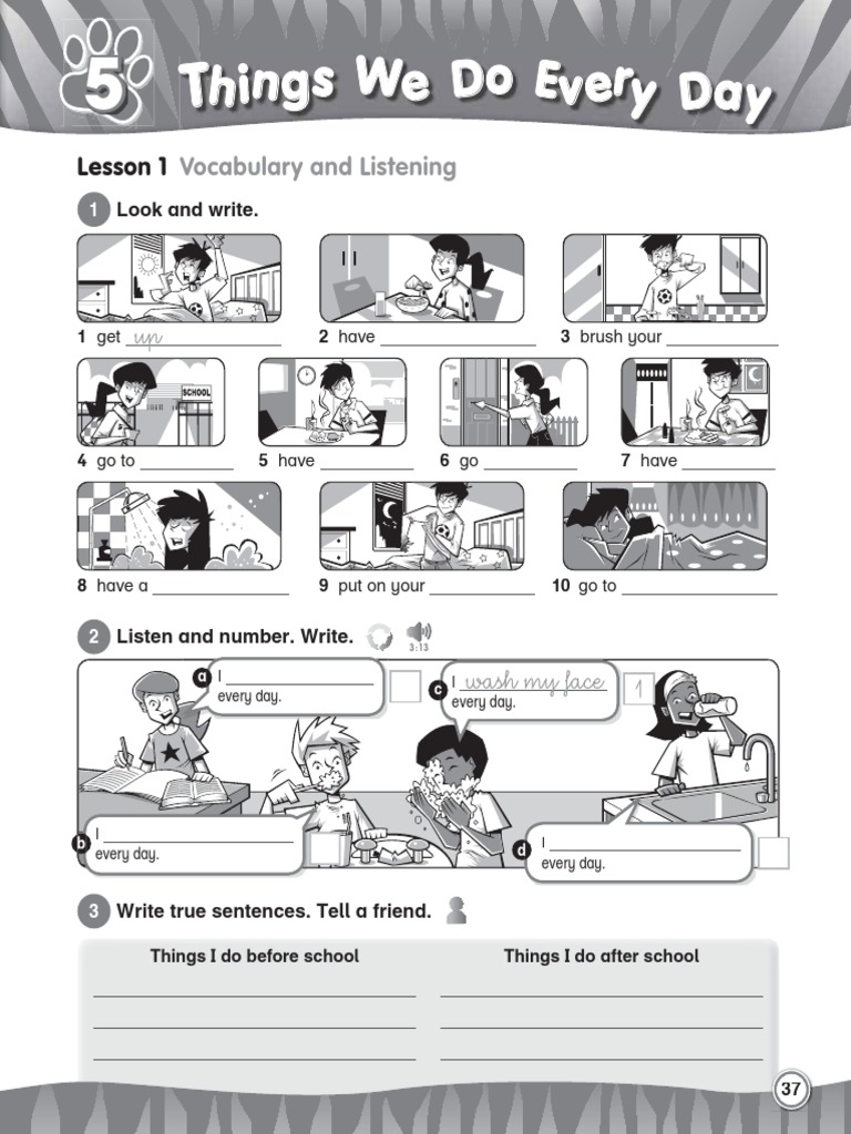 NewTiger3 Activity | PDF