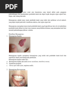 Anatomi Maksila & Mandibula | PDF