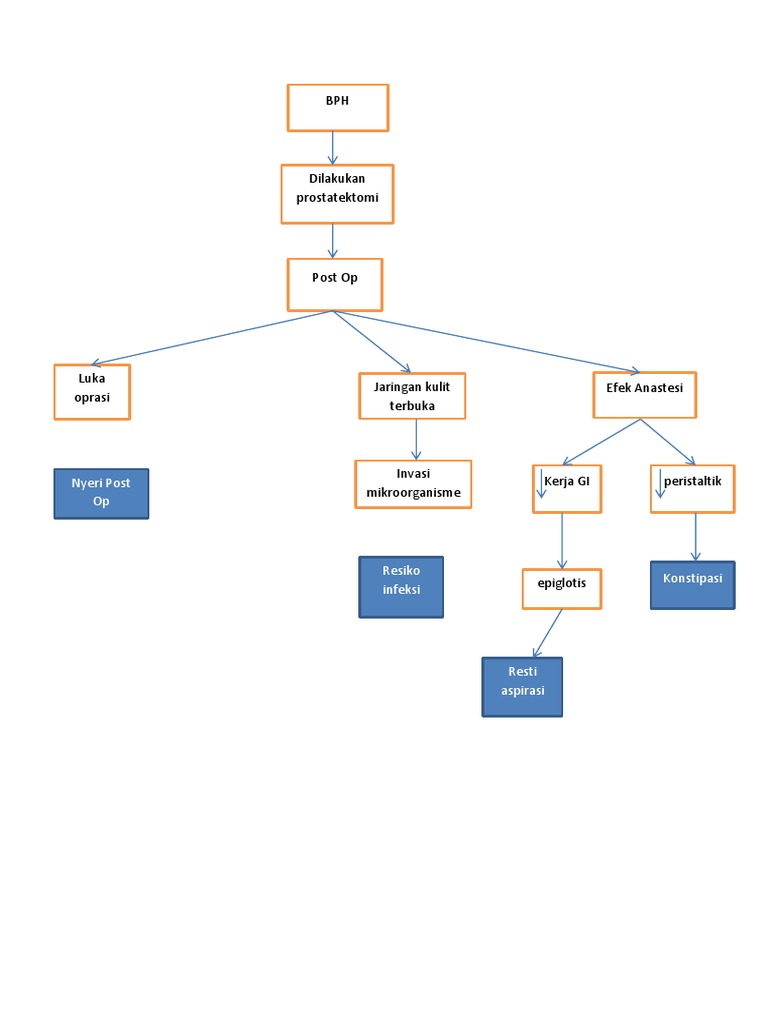 Pathway Pasca Operasi BPH | PDF