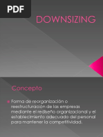Qué Es El DOWNSIZING (Diapositivas) | PDF | Empresas | Iniciativa empresarial