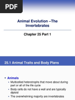Invertebrate Classification Overview | PDF | Invertebrate | Biology