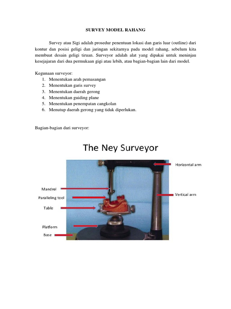 Surveying | PDF