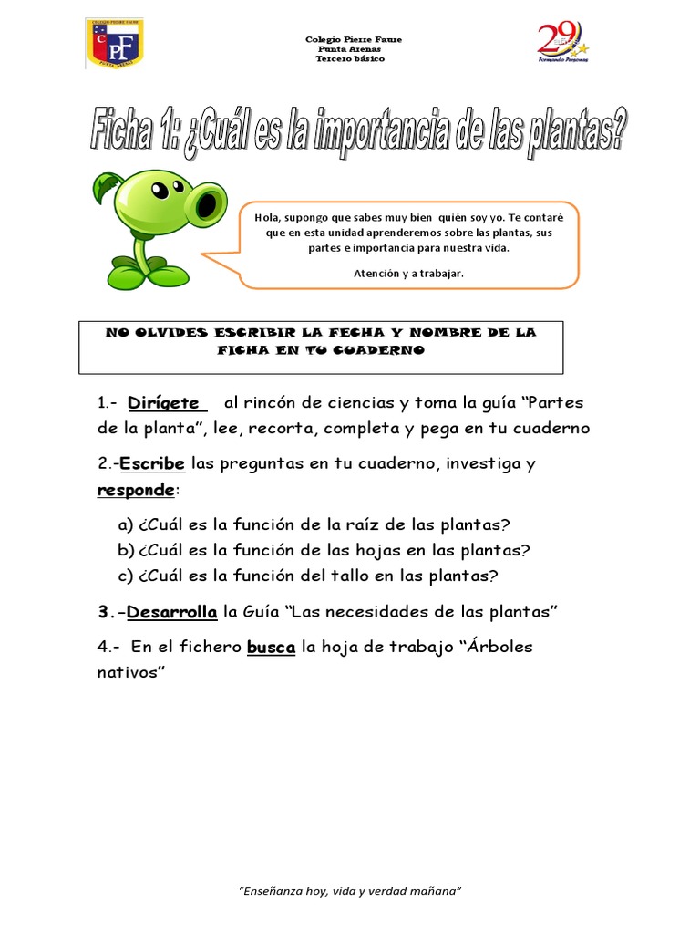 Hoja De Trabajo Sobre Plantas Y Sus Partes Partes De La Semilla
