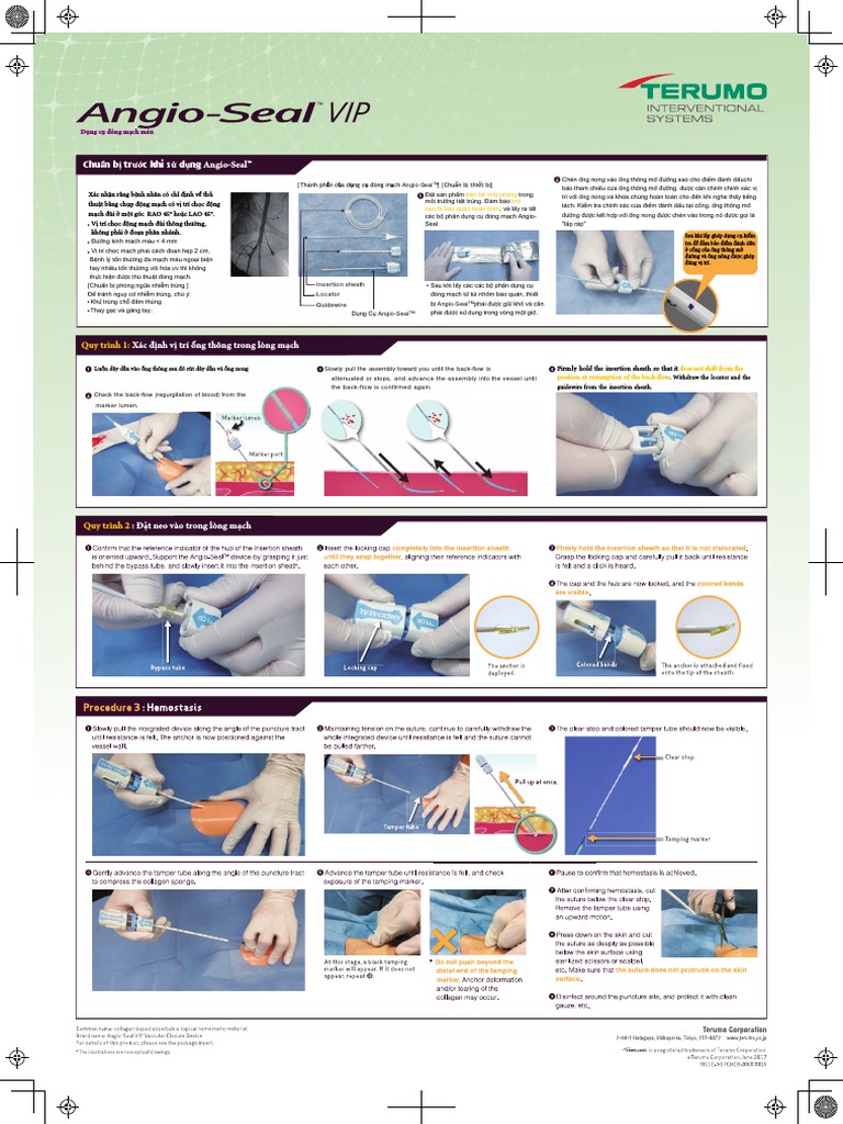 Angio Seal VIP VI | PDF