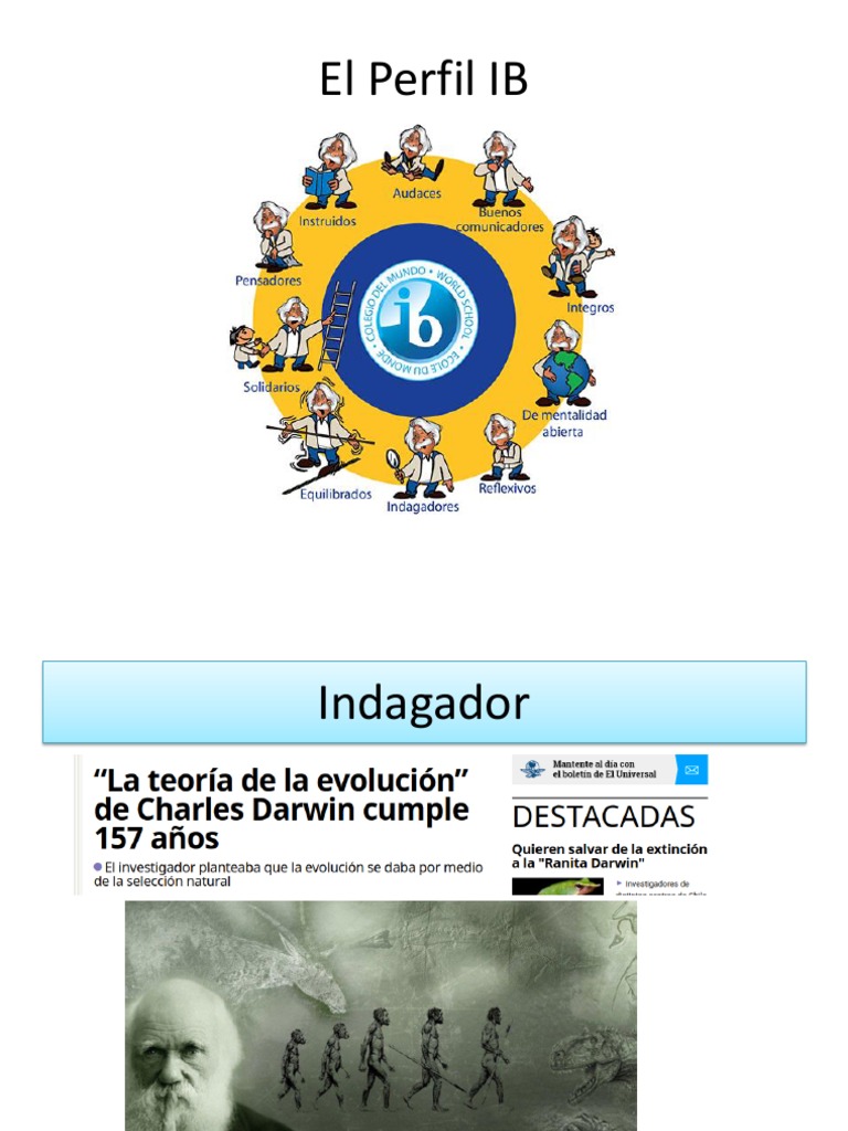 Perfil Ib Coar | Descargar gratis PDF | Aprendizaje | Sicología