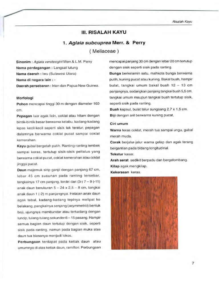 Risalah Atlas Kayu Indonesia Jilid III-1-scan N Compres PDF | PDF