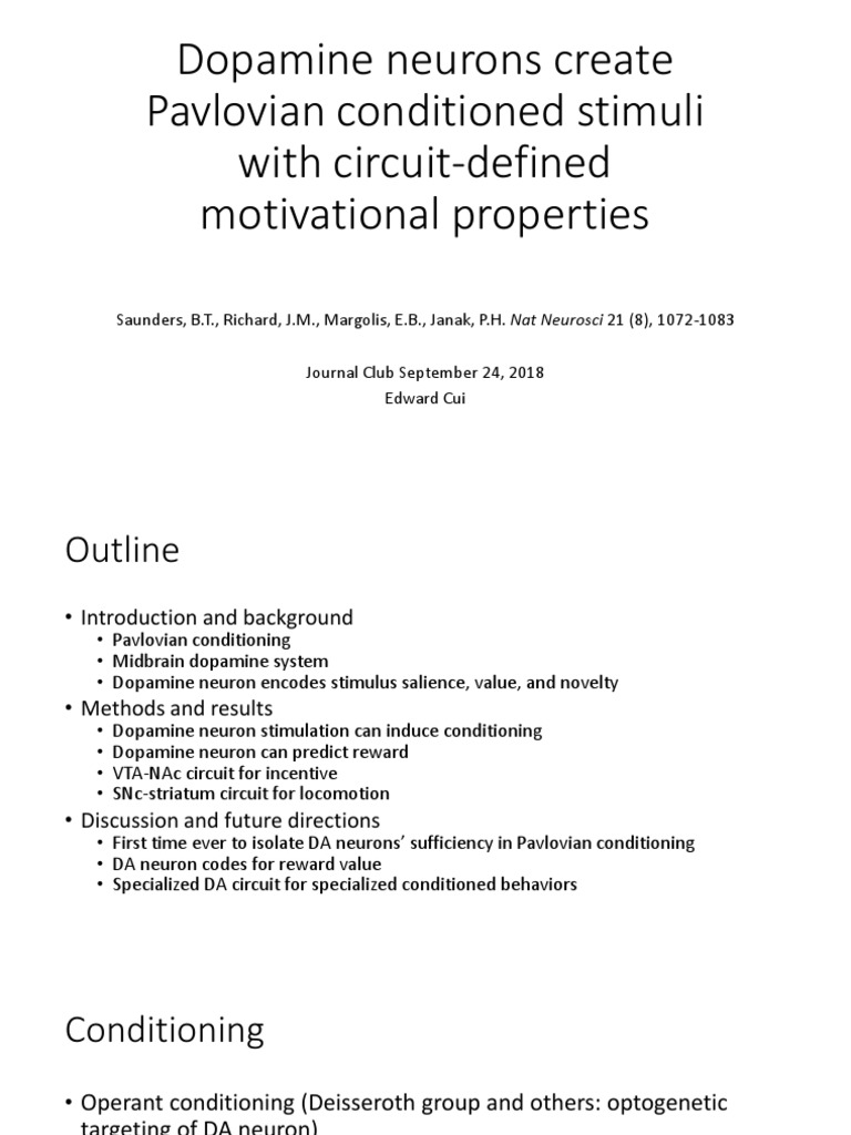 Dopamine Neurons Create Pavlovian Conditioned Stimuli With Circuit ...